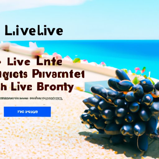 How Much Does Livea Cost Per Month Exploring The Different Plans And 