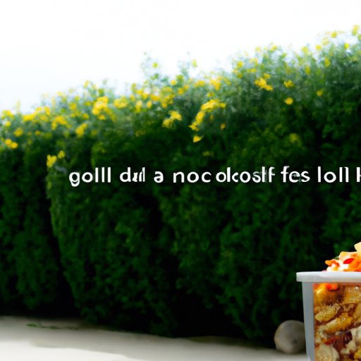 Exploring The Golo Diet What It Is How It Works And How Much It Costs 