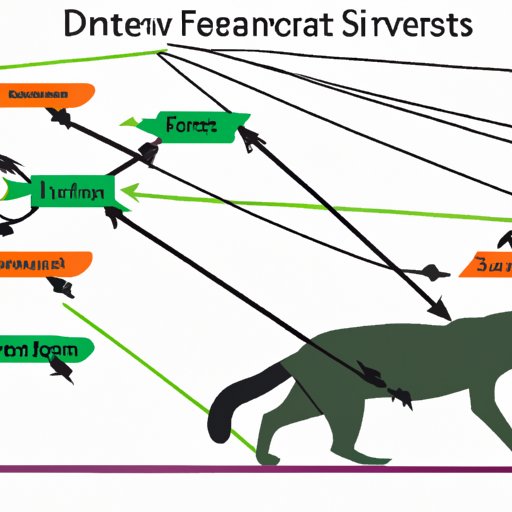 What Is A Predator In Science Exploring The Role Of Predators In What Is A Predator In Science Exploring The Role Of Predators In