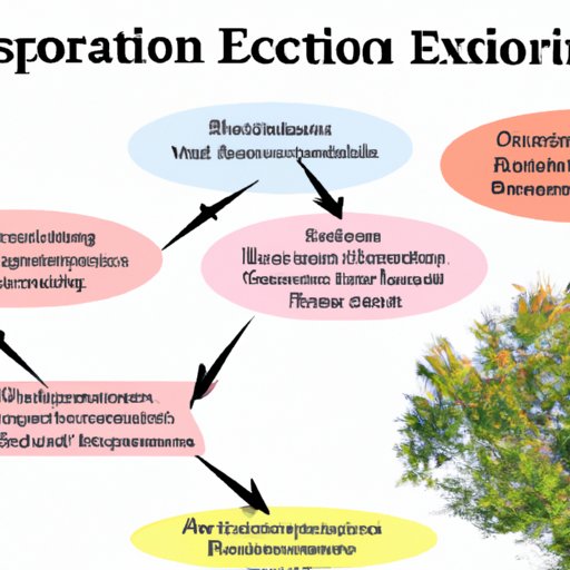 What Is A Predator In Science Exploring The Role Of Predators In What Is A Predator In Science Exploring The Role Of Predators In