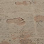 Describing Footsteps in Writing: Capturing the Impact and Feelings of ...