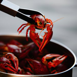 How to Eat a Crawdad: A Step-by-Step Guide - The Enlightened Mindset