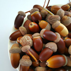 How to Eat an Acorn: Roasting, Boiling, Mashing, Grinding, Fermenting ...