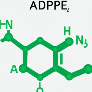 What Does ADP Stand For in Science? A Comprehensive Guide - The ...