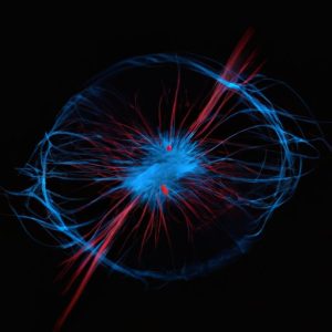 What is a Phenomenon in Science? All You Need to Know - The Enlightened ...