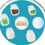 Exploring Pure Culture in Microbiology: Definition, Role and Types ...
