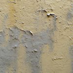 Exploring the Visual Element of Texture in Photography - The ...