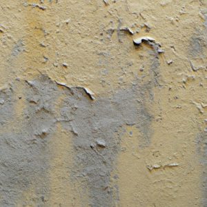 Exploring the Visual Element of Texture in Photography - The ...