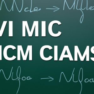 What Is VCM in Finance? A Comprehensive Guide - The Enlightened Mindset