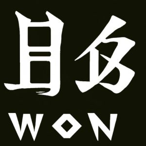 Exploring the Meaning and Popularity of the Chinese Phrase “Wo Ai Ni ...