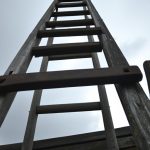 When Were Ladders Invented? Exploring the Long History of Ladder ...