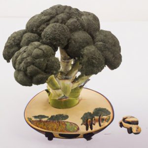 Who Invented Broccoli? Uncovering the Untold Story of this Superfood ...