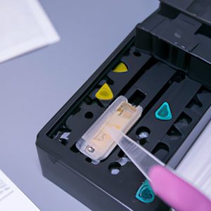 The Inventor of PCR: An Exploration of the Discovery and Impact of ...