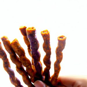 Exploring the Invention of Takis: The Story Behind the Popular Snack ...
