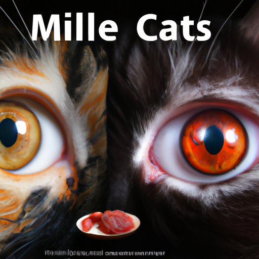Will My Cat Eat My Eyeballs? Exploring the Myths, History, and Health ...