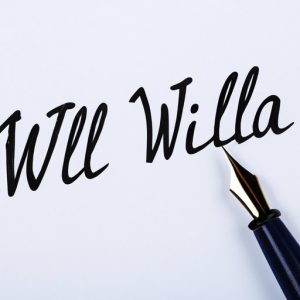 Will Writing: An Essential Guide to Drafting, Revising and ...